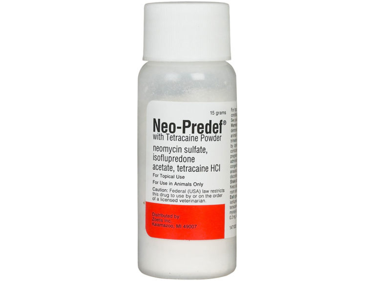 Neo-Predef w/Tetracaine 15gm Powder - J&B Pet Source