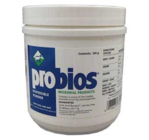 Probios Powder - J&B Pet Source